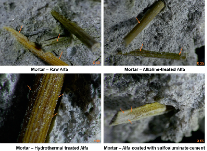 Long-Term Durability of Treated Alfa Fibers Based-Cementitious ...