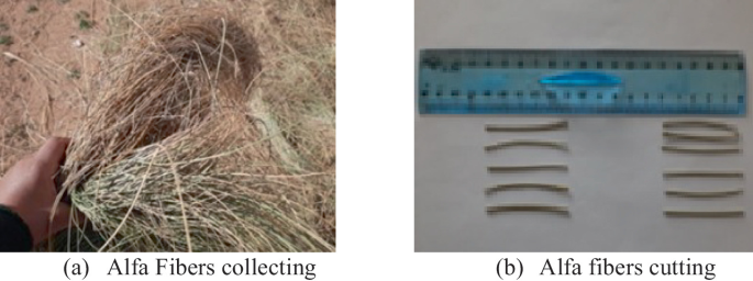 Ballistic Impact and Blast Resistance of Alfa Reinforced Concrete ...