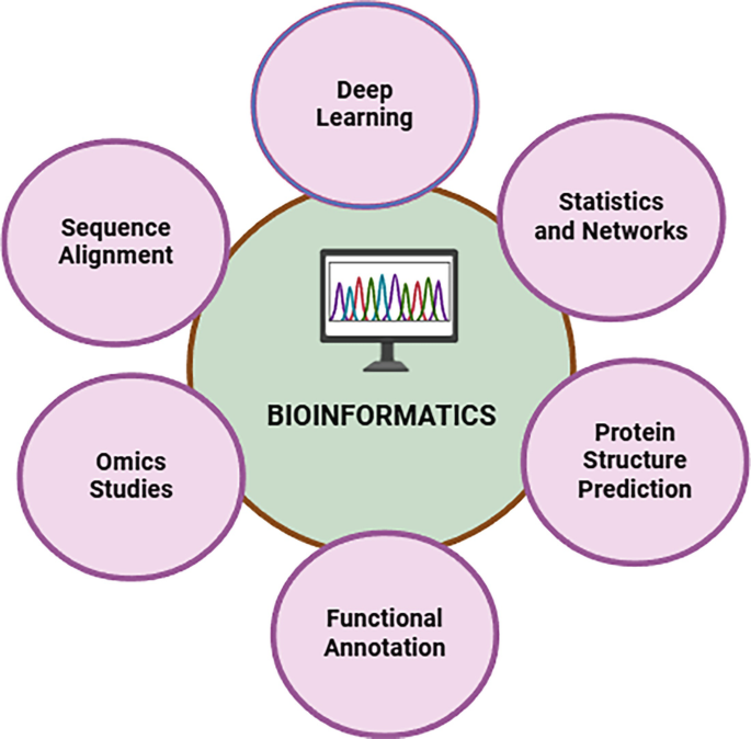 Bioinformatics Approaches in Noncoding RNAs Research | Springer Nature Link