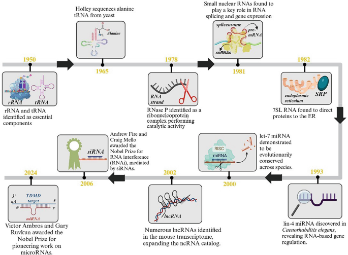 Role of ncRNAs in Neurological Disorders and Cardiovascular Diseases ...