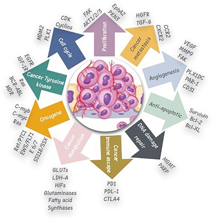 The Potential of Noncoding RNAs-siRNAs in Cancer Research and Therapy ...