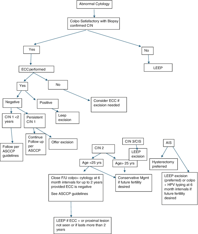 LEEP: Loop Electrosurgical Excision Procedure | Springer Nature Link