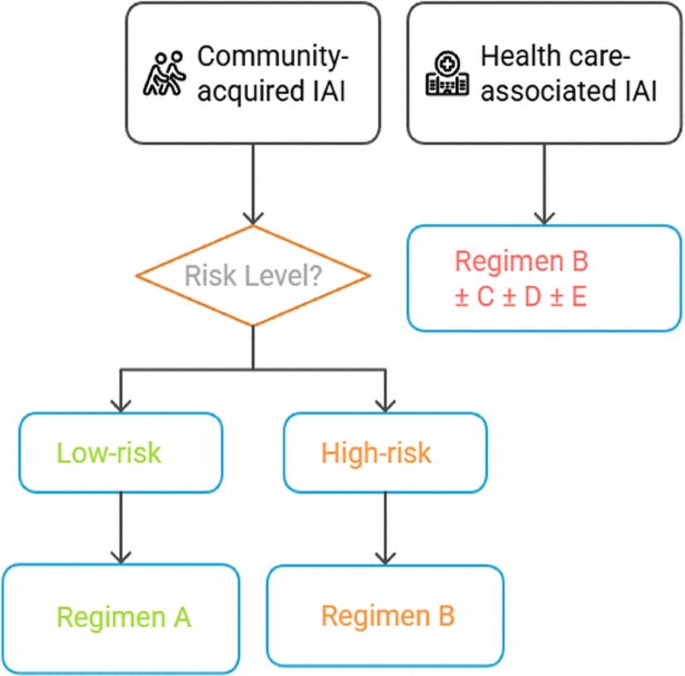Abdominal Infections | Springer Nature Link