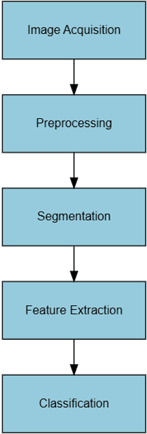 A Comprehensive Approach to Tomato Leaf Disease Identification Using ...