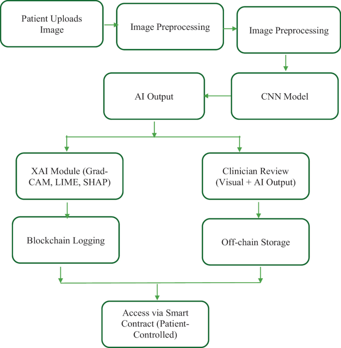 Integrating Explainable AI and Blockchain for Secure and Transparent ...
