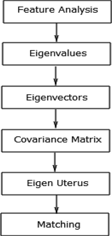 Computer-Aided Diagnosis in Uterus Imaging | SpringerLink