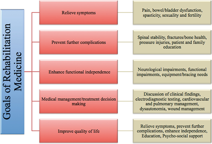 Rehabilitation of the Spine Tumor Patient | Springer Nature Link