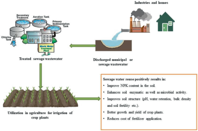 Utilization of Sewage Water in Agriculture for Irrigation of Crop ...