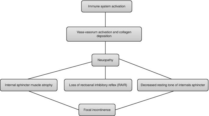 Anorectal Diseases in Rheumatology | Springer Nature Link