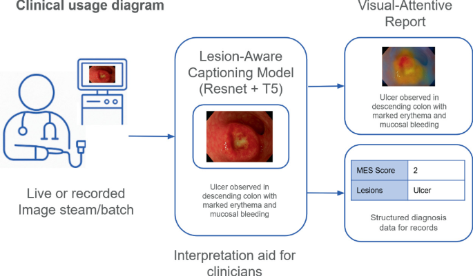 Lesion-Aware Visual-Language Fusion for Automated Image Captioning of ...