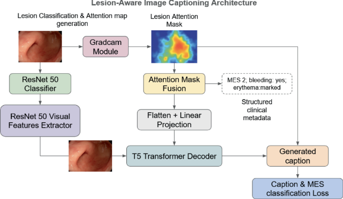 Lesion-Aware Visual-Language Fusion for Automated Image Captioning of ...