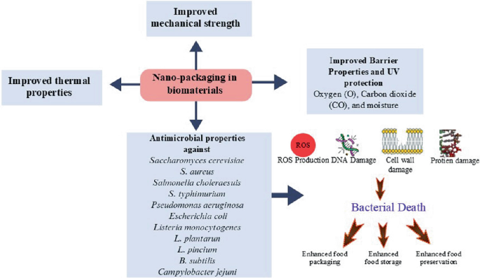 Advances in Food Packaging with Nanotechnology-Enhanced Biomaterials ...