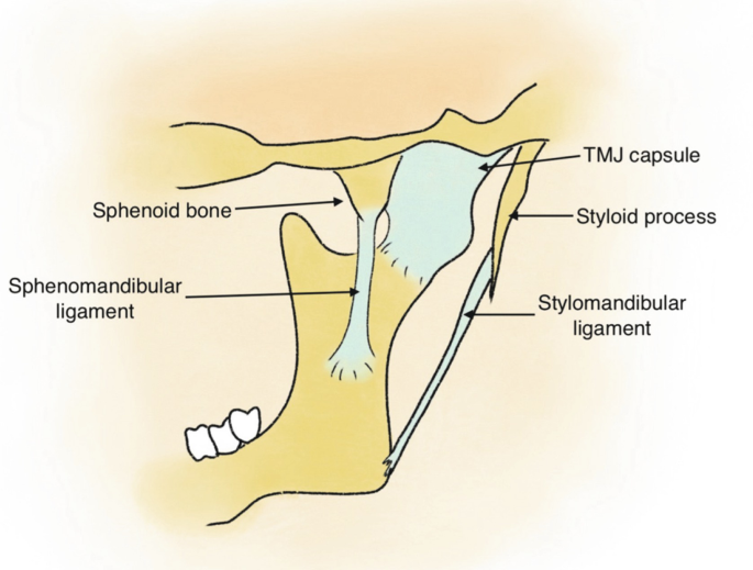 MRI for Temporomandibular Joint Disorders and Diseases | Springer ...