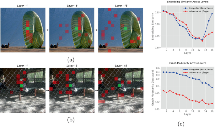 Explaining Vision GNNs: A Semantic and Visual Analysis of Graph-Based ...