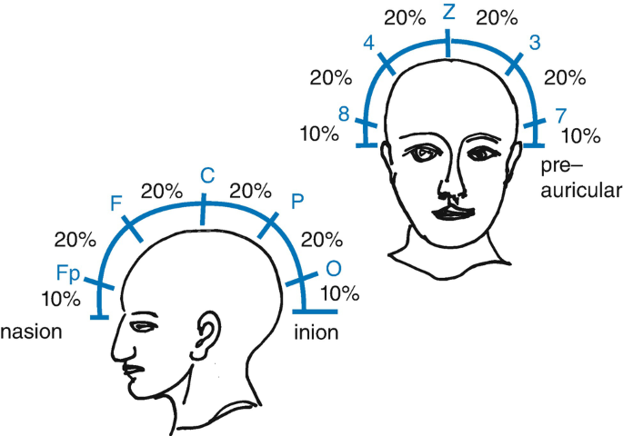 Acquisition of the EEG | SpringerLink