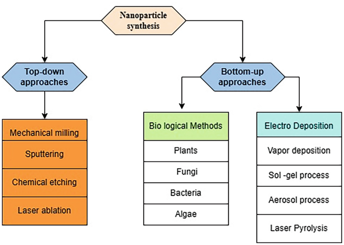 Biomedical Applications of Nanomaterials as a Diagnostic and ...