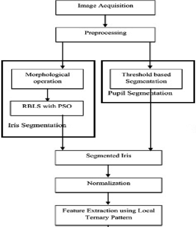 Deep Learning Approaches for Iris Damage Prediction Using CNN and Image ...