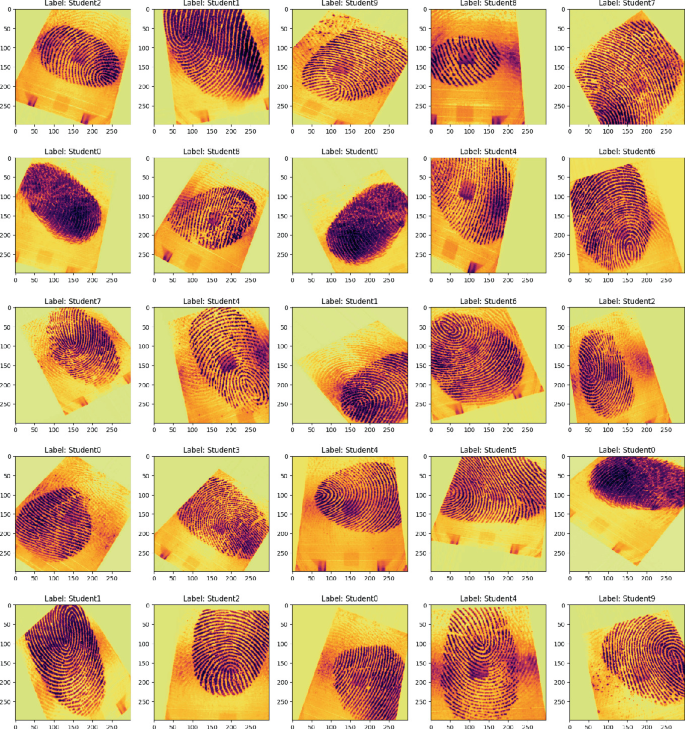 Integrating Transfer Learning with Fingerprint Recognition for Enhanced ...