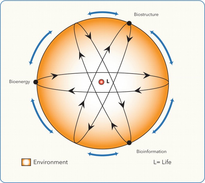 The Homeodynamic Theory of Life: An Introduction | Springer Nature Link ...