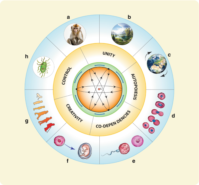 The Homeodynamic Theory of Life: An Introduction | Springer Nature Link ...