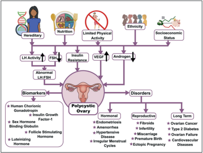 Advancing Polycystic Ovarian Syndrome (PCOS) Detection Using Handheld ...