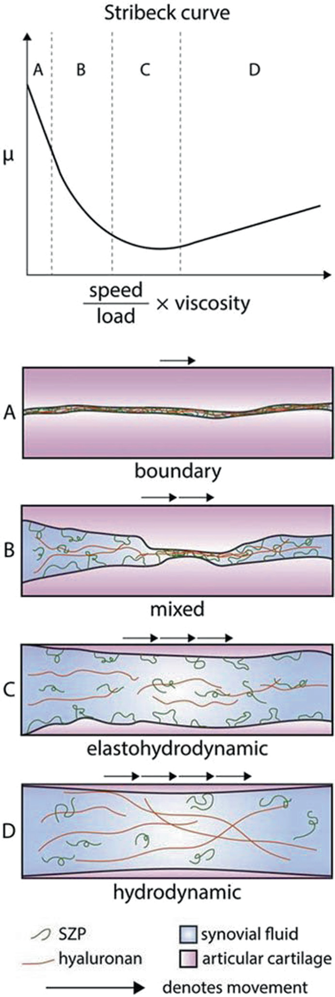 In Vitro Evaluation Methods | Springer Nature Link