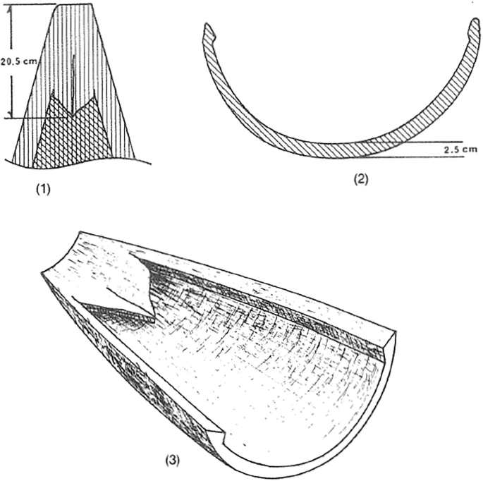 History of the Warrau Canoe | Springer Nature Link