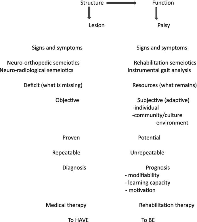 Thoughts on Re-educational Treatment | Springer Nature Link