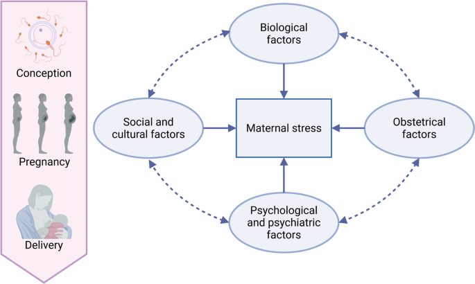 From Conception to Delivery: Potential Sources of Maternal Stress ...
