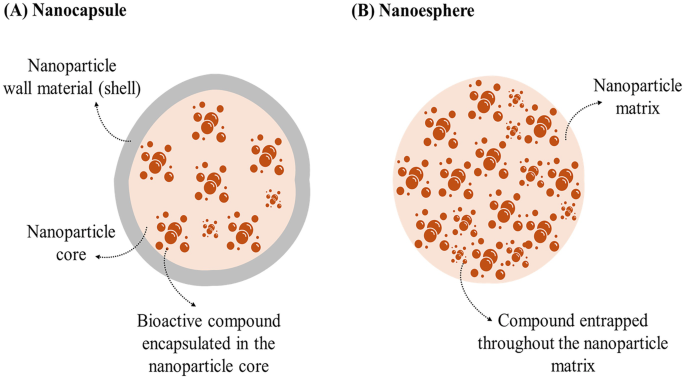 Nanotechnology to Improve the Quality and Nutritional Value of Foods ...