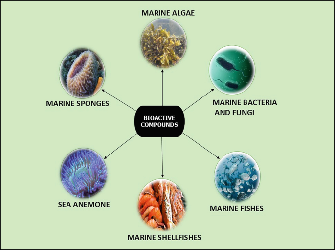 Biopolymers as Nanocarrier Agents of Marine Bioactive Compounds in Food ...