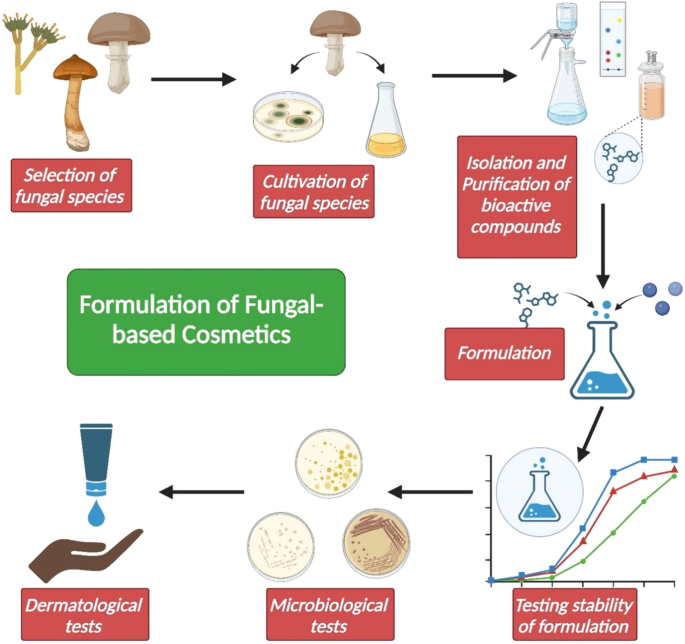 Nanocosmetics and Fungal-Based Cosmetics: Similarities and Differences ...