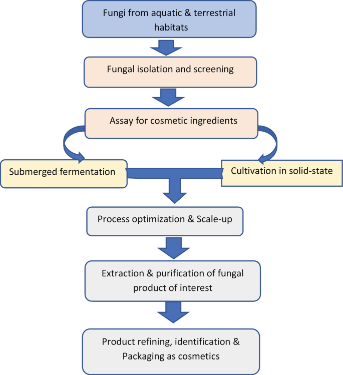 Exploring Cultivable Fungi for Medicinal Cosmetics | Springer Nature Link