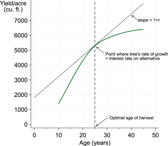 To Infinity … and Beyond | SpringerLink