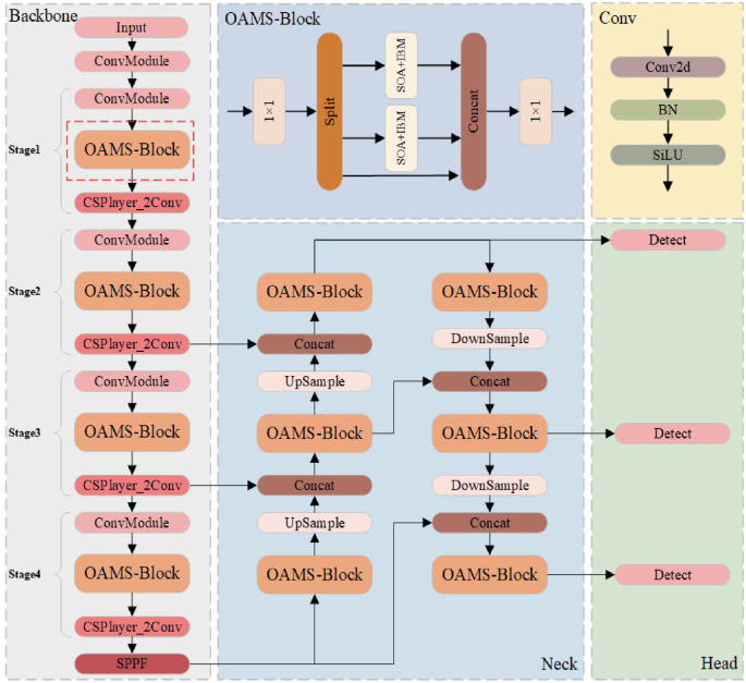OASA-YOLO: A Lightweight Corn Ear Detection Algorithm Based on ...