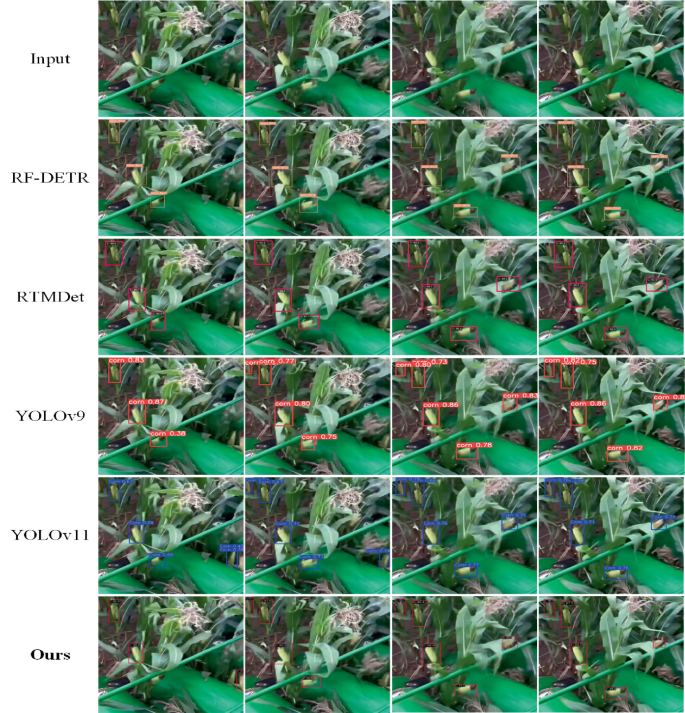 OASA-YOLO: A Lightweight Corn Ear Detection Algorithm Based on ...