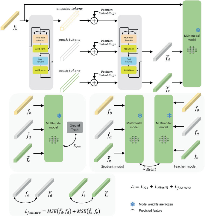 Feature Imputation for Missing Modalities in Multimodal Ultrasound ...