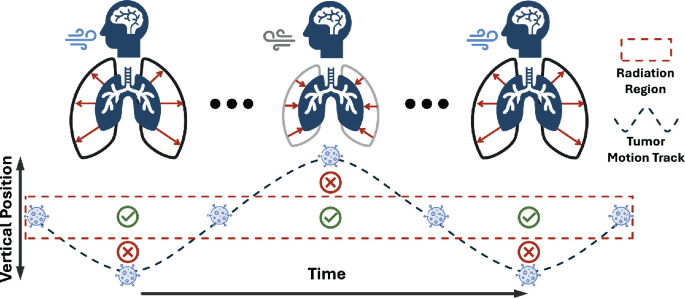 Sequential Organ Motion Prediction via Autoregressive Modeling ...