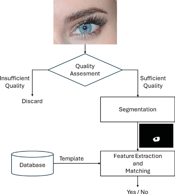 Iris Recognition from Websites and Social Media: State of the Art and ...