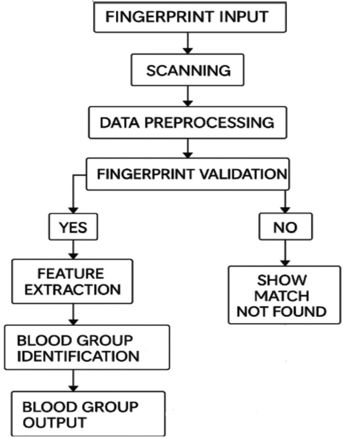 Deep Learning-Based Blood Group Prediction Using Fingerprint Biometrics ...