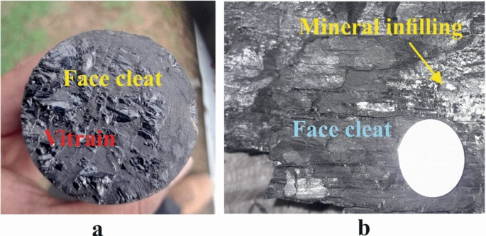 Significance of Cleat and Fractures in Coal Mining and Coalbed Methane ...