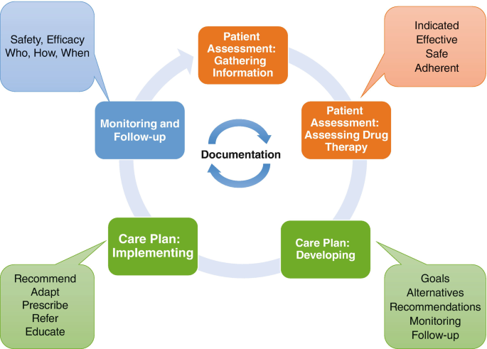Introduction to the Patient Care Process | Springer Nature Link ...