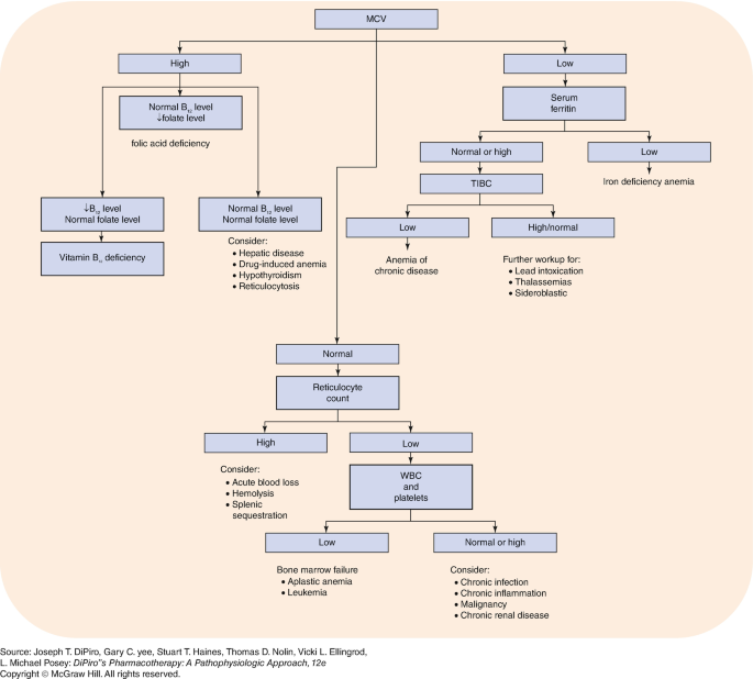 Anemia Assessment | Springer Nature Link