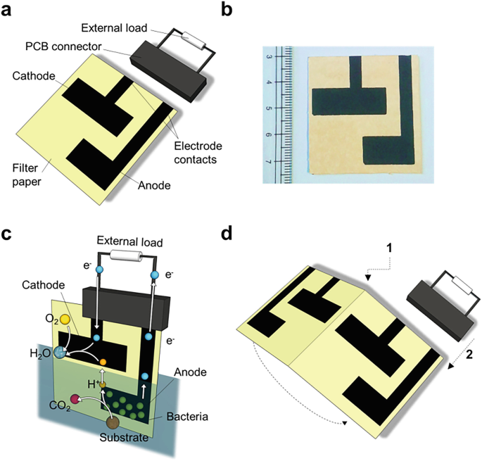 Introduction and Current Applications of Screen-Printed Electrochemical ...