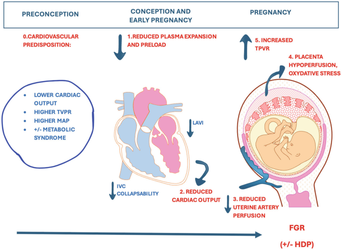Fetal Growth Restriction | Springer Nature Link