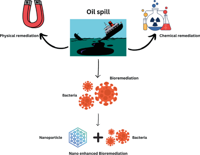 Enhancing Bioremediation of Oil Spills Using Nanotechnology | Springer ...