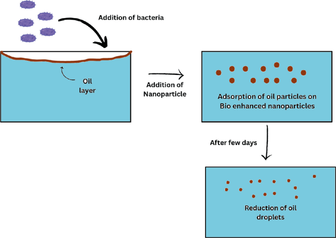 Enhancing Bioremediation of Oil Spills Using Nanotechnology | Springer ...