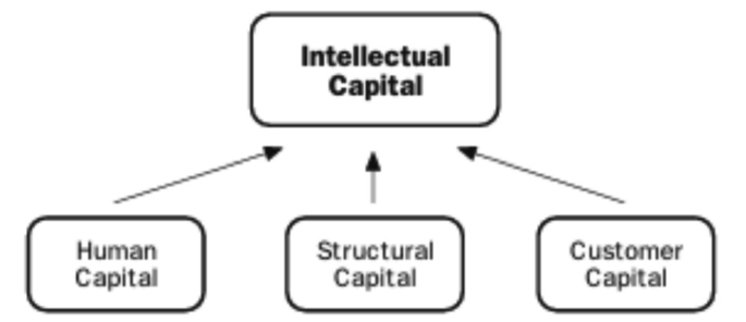 Revisiting Business Theory and Intellectual Capital in the Digital Era ...