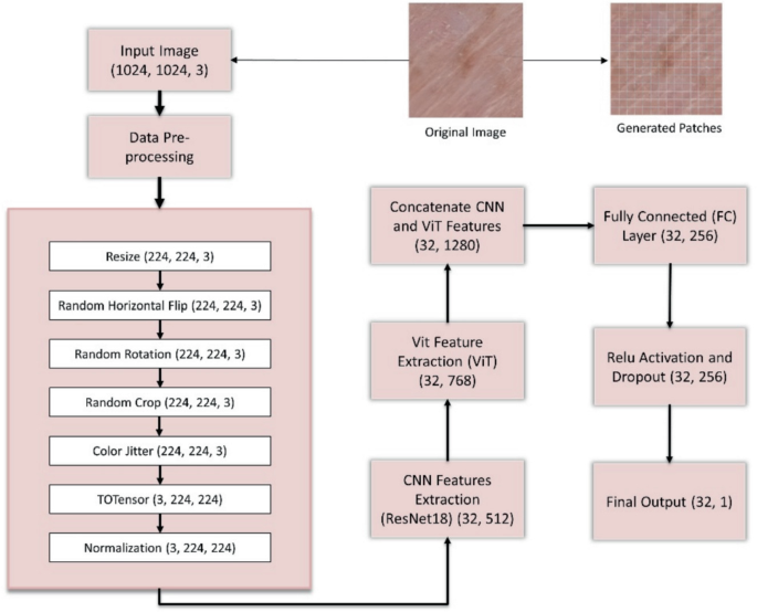 Batch Size Optimization in CNN+ Inception–Based Skin Cancer Detection ...