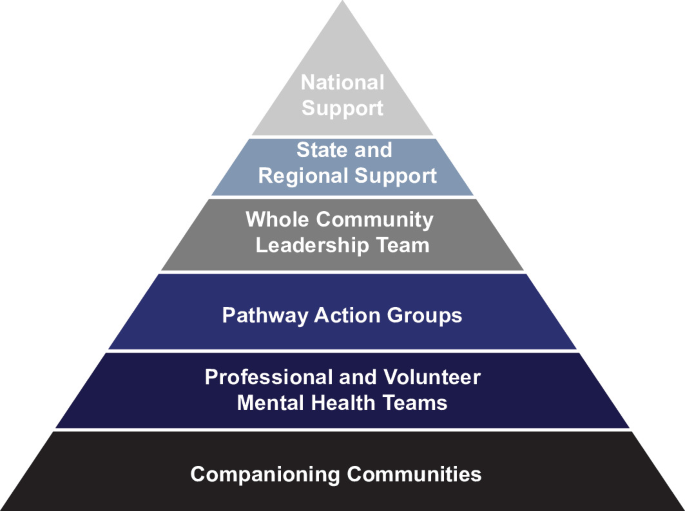 Implementing a Whole Community Approach | Springer Nature Link